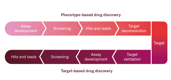 Moving Beyond the 'One Disease, One Drug' Paradigm to Navigate ...