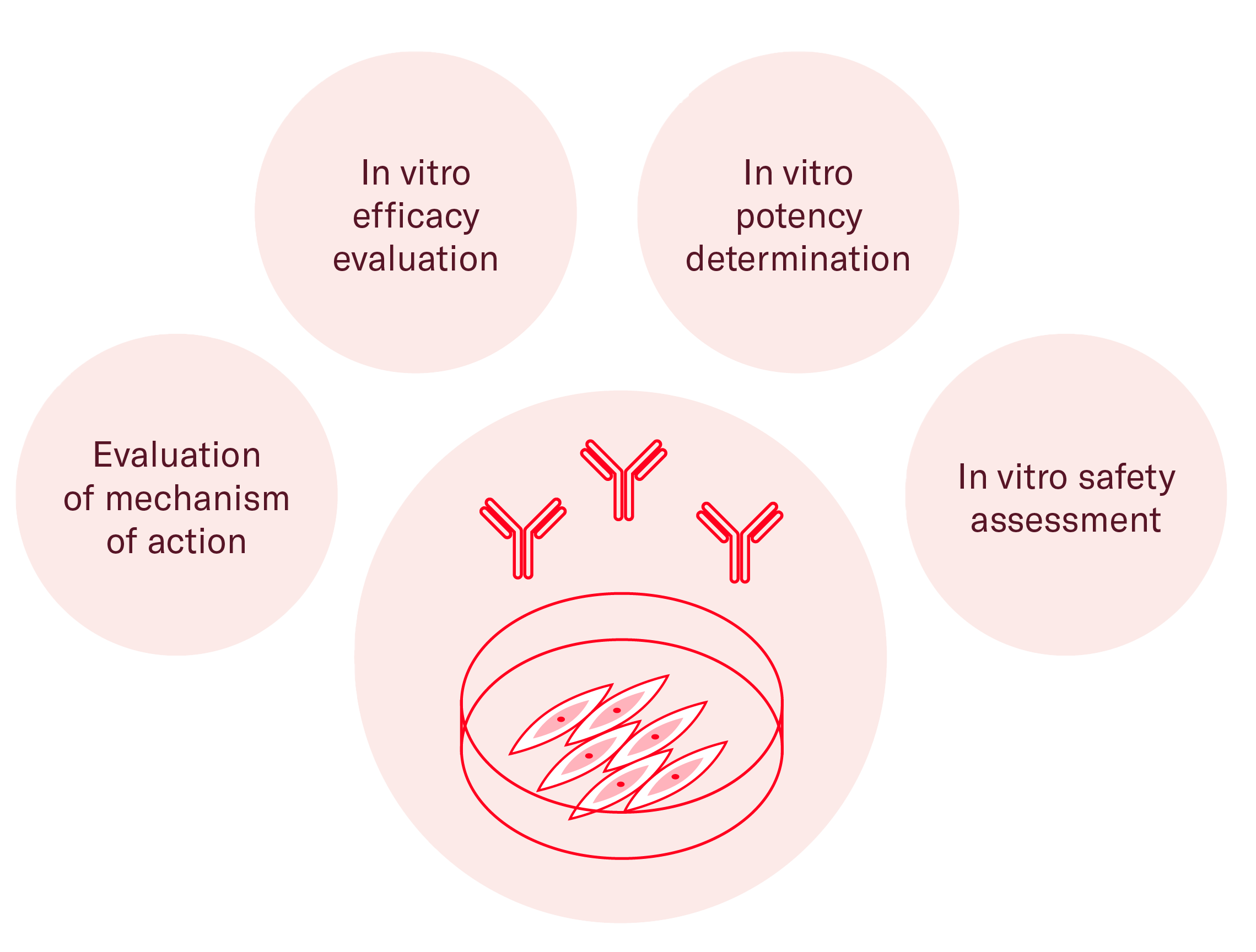 An iPSC platform for discovery of new biologic drugs