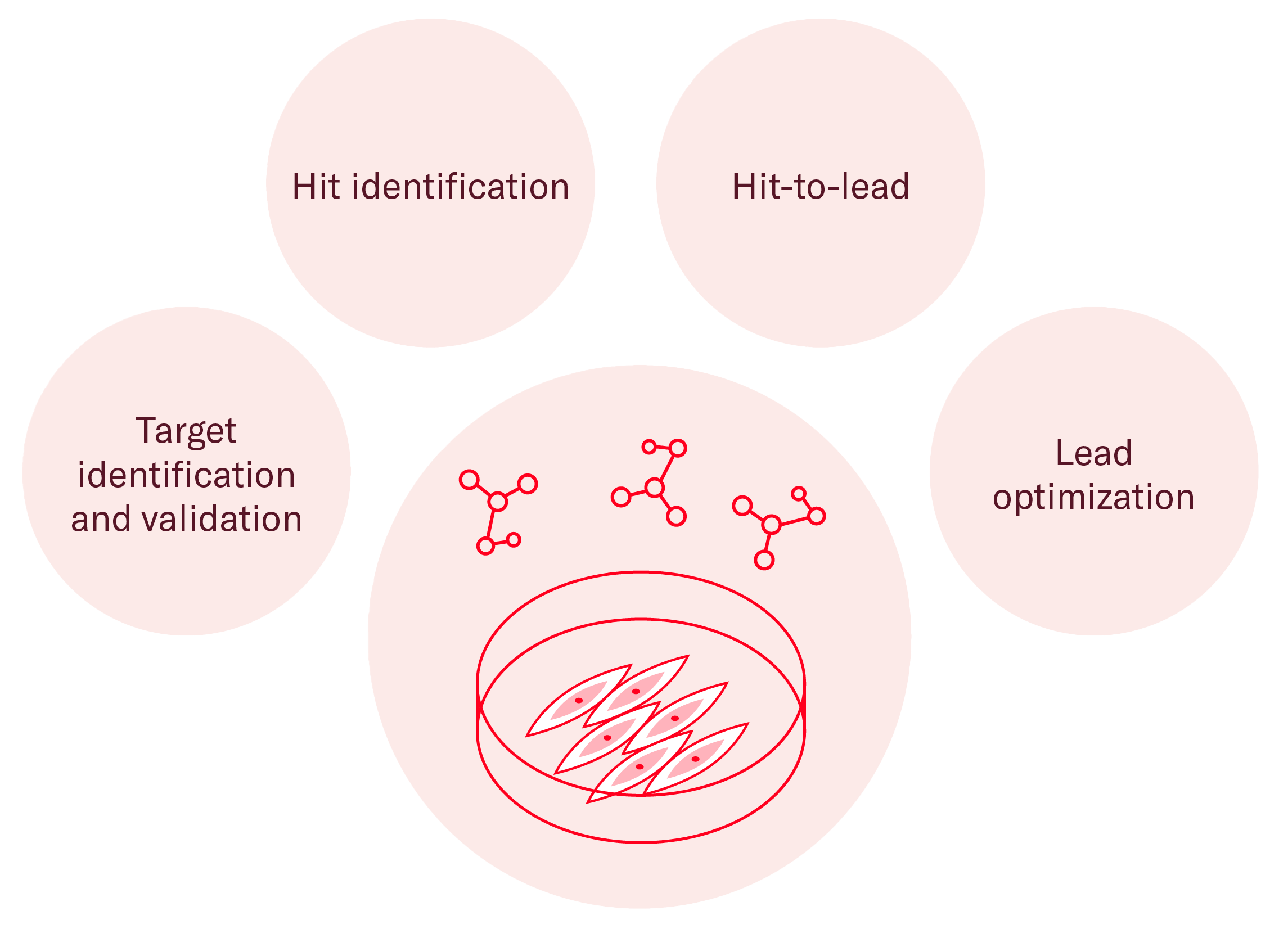 An iPSC platform for discovery of breakthrough therapeutics
