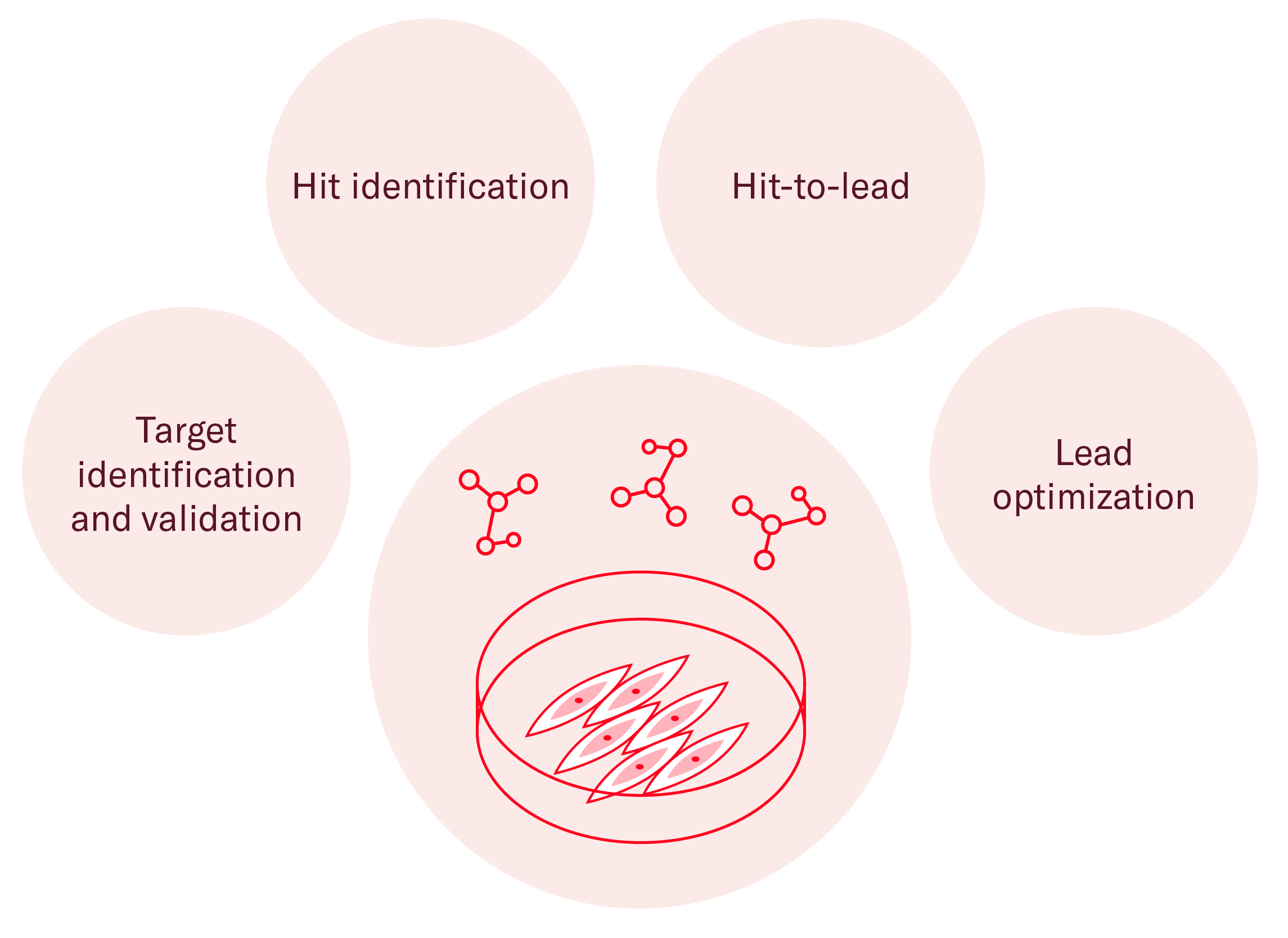 An iPSC platform for discovery of breakthrough therapeutics