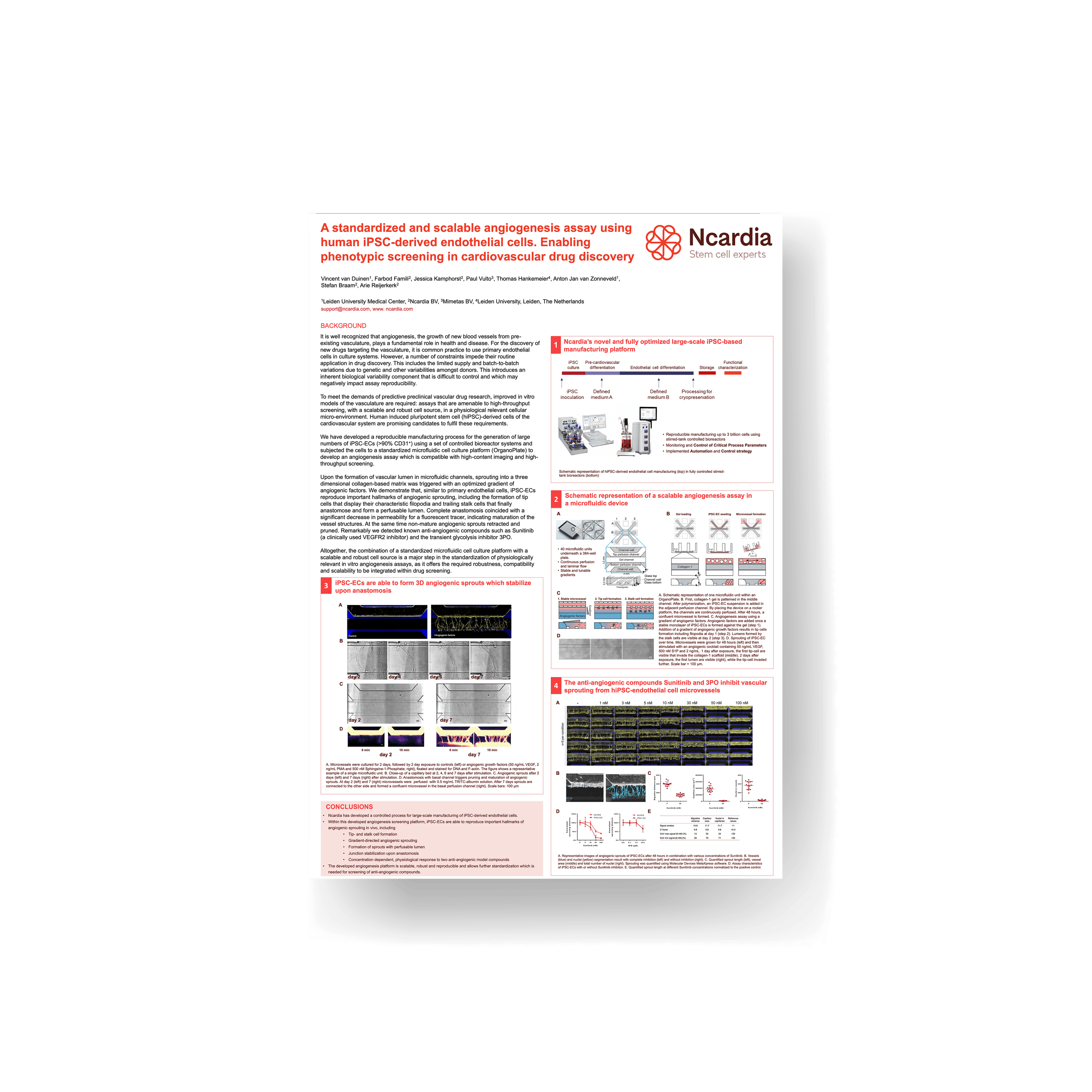 Scientific poster: A standardized and scalable angiogenesis assay using ...