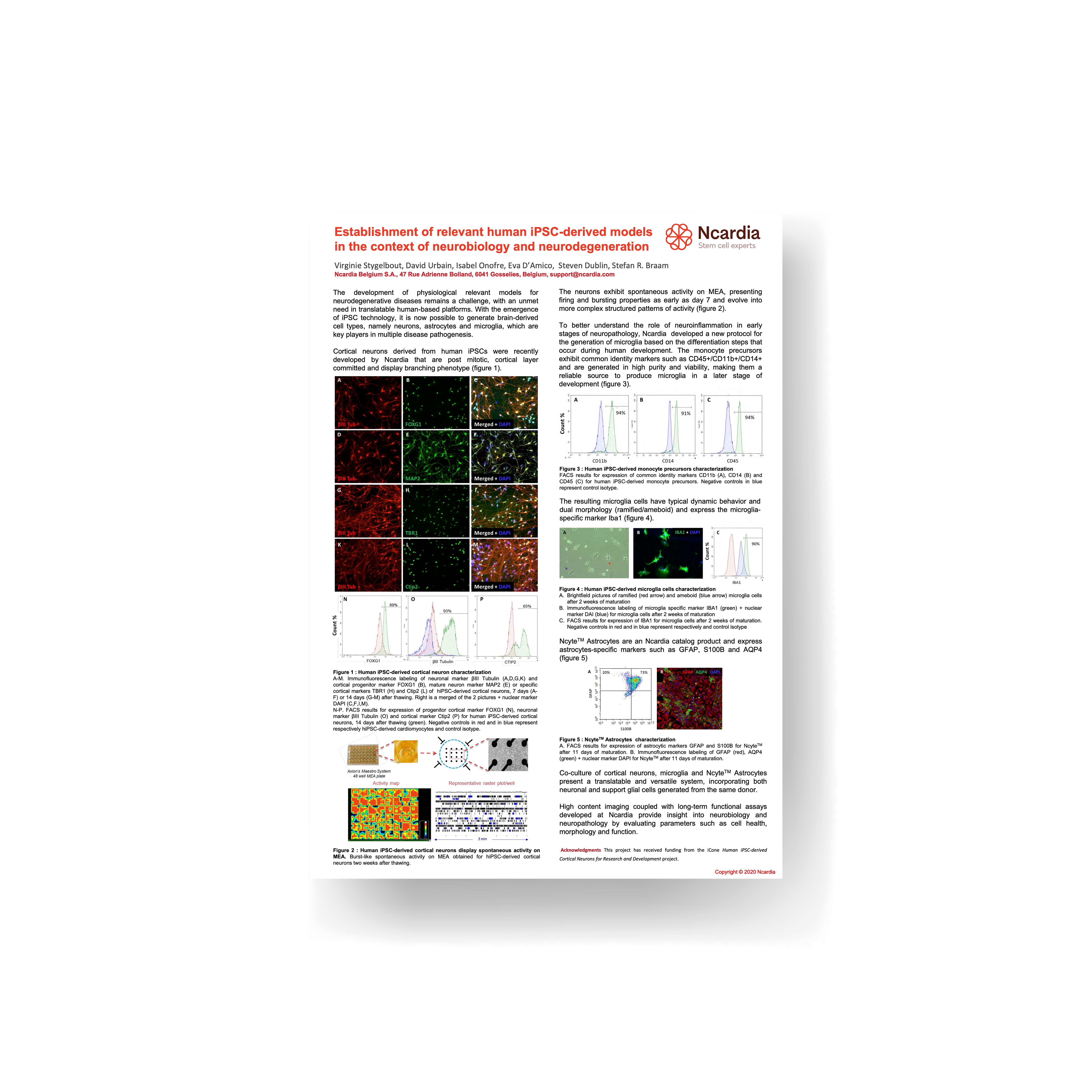 Scientific poster: Establishment of human iPSC-derived models in ...