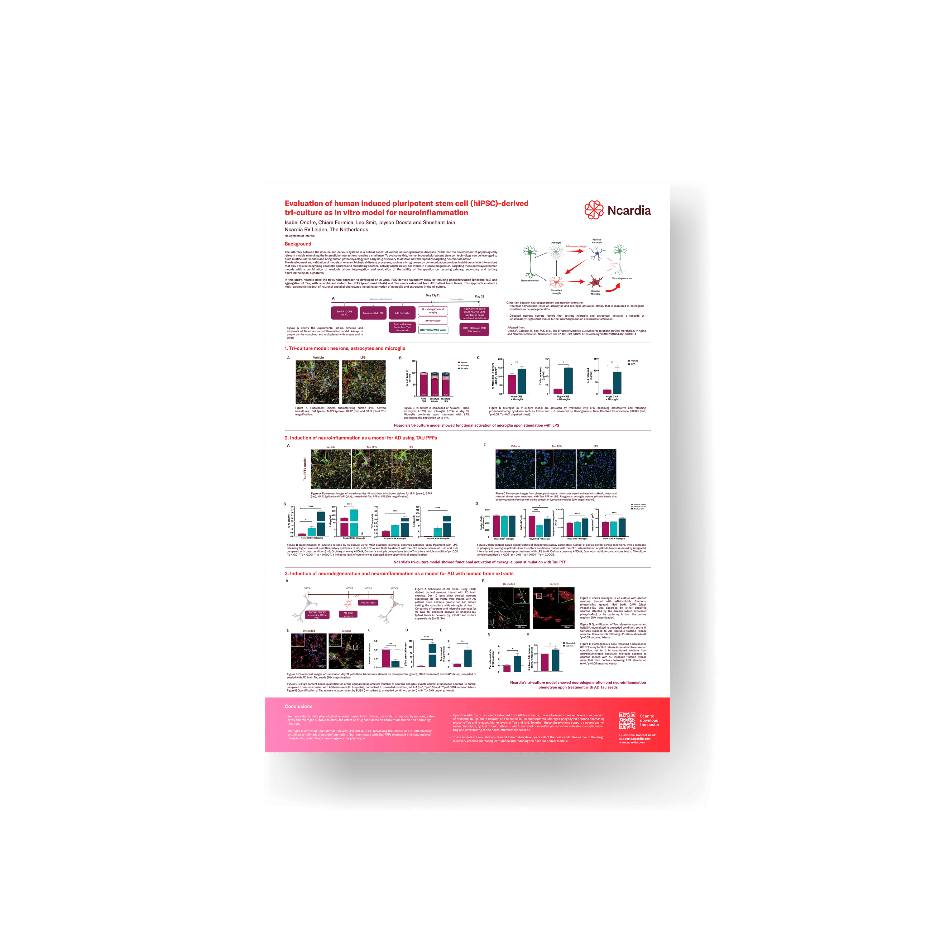 Scientific poster: Evaluation of human iPSC derived triculture as in ...
