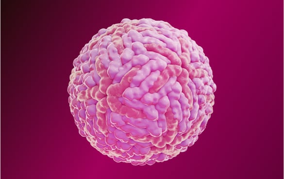 Discovery Services by Ncardia - Efficacy Screening