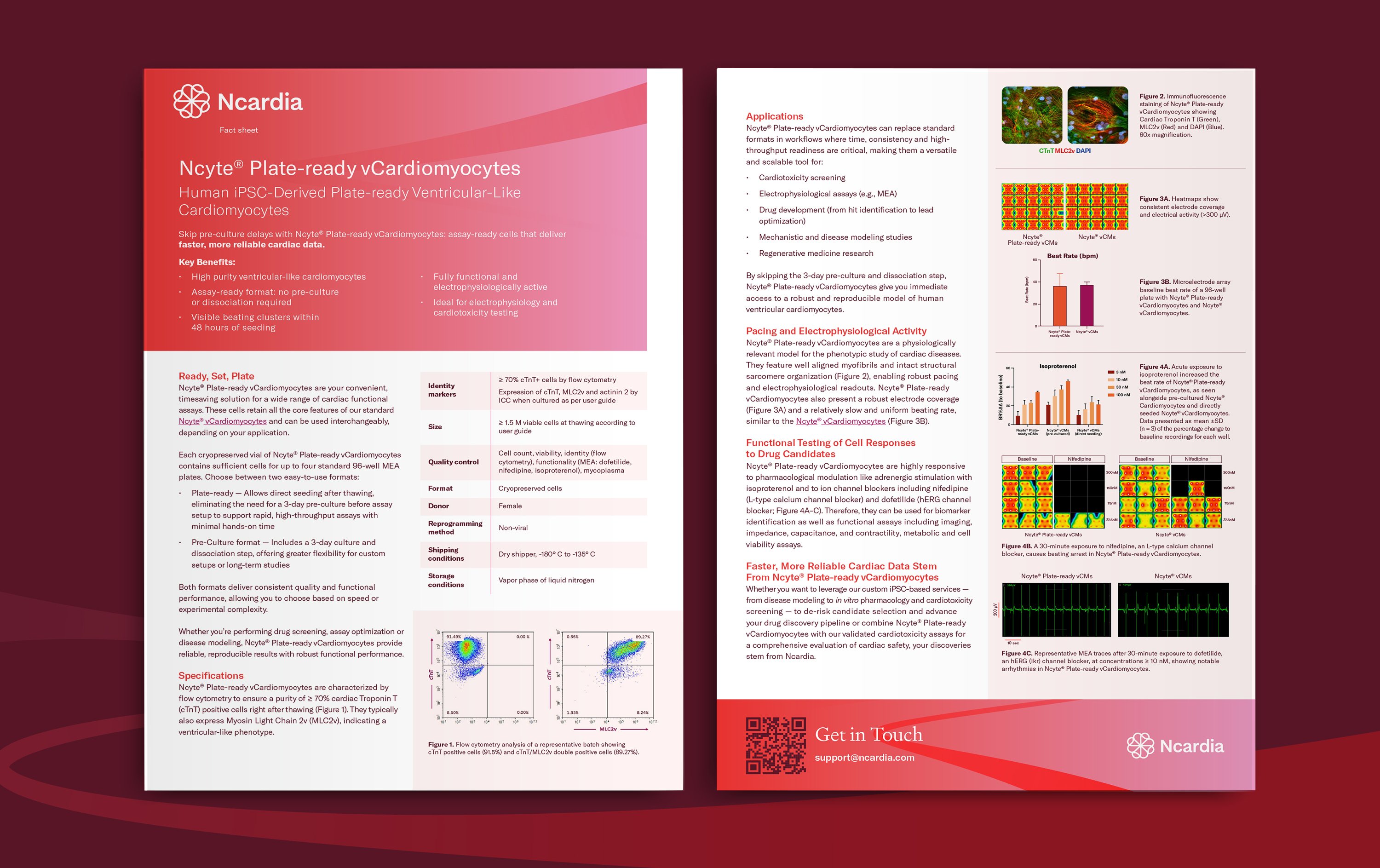 Ncyte® Plate-ready vCardiomyocytes Fact Sheet
