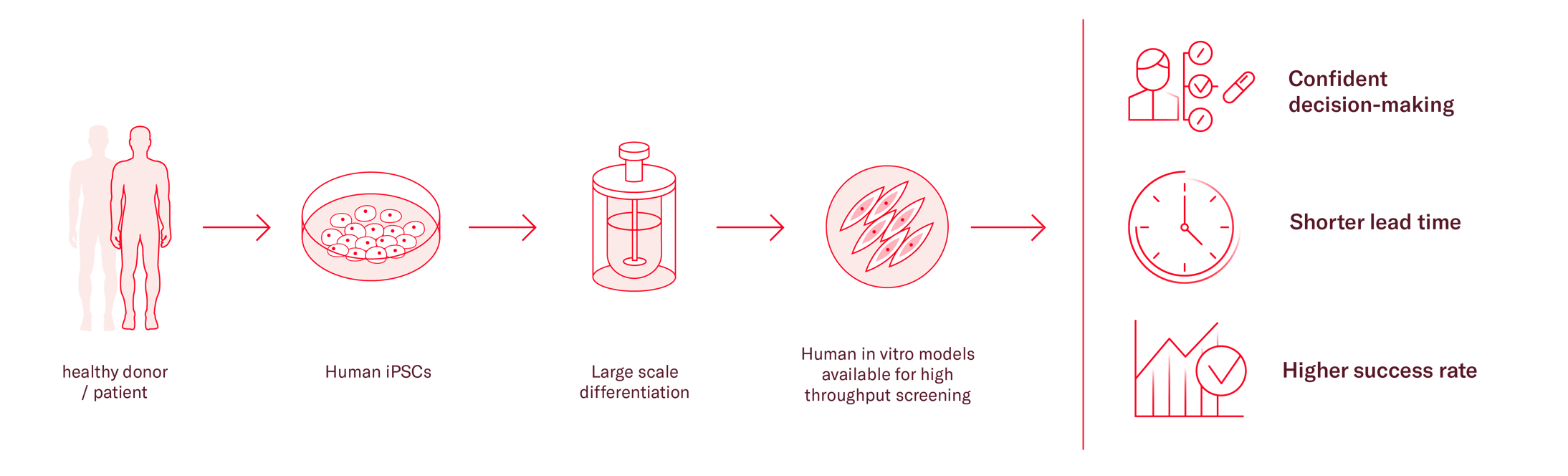 Antisense Oligonucleotide in vitro screening assays: 5 key ...