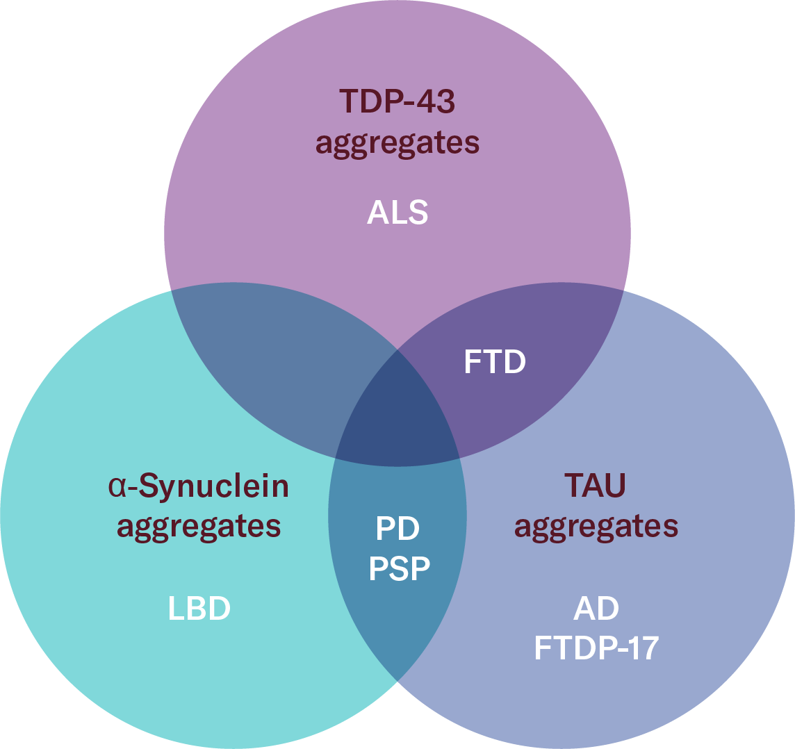 Screening service for drug candidates targeting proteinopathies