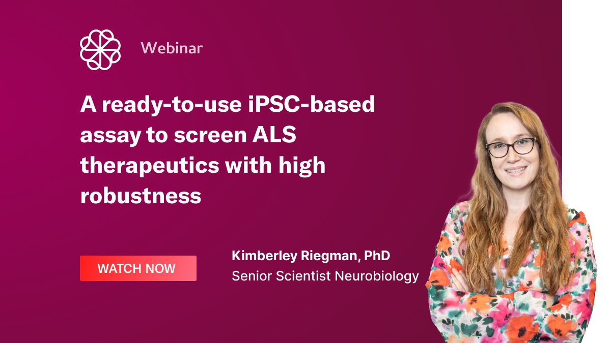 Ready-to-use iPSC-based assay to screen ALS therapeutics