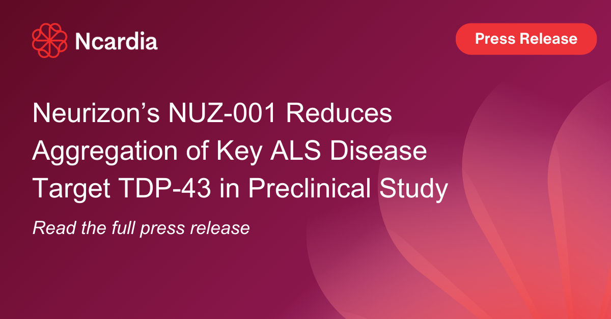 Press release: Neurizon's NUZ-001 Reduces Aggregation of Key ALS ...
