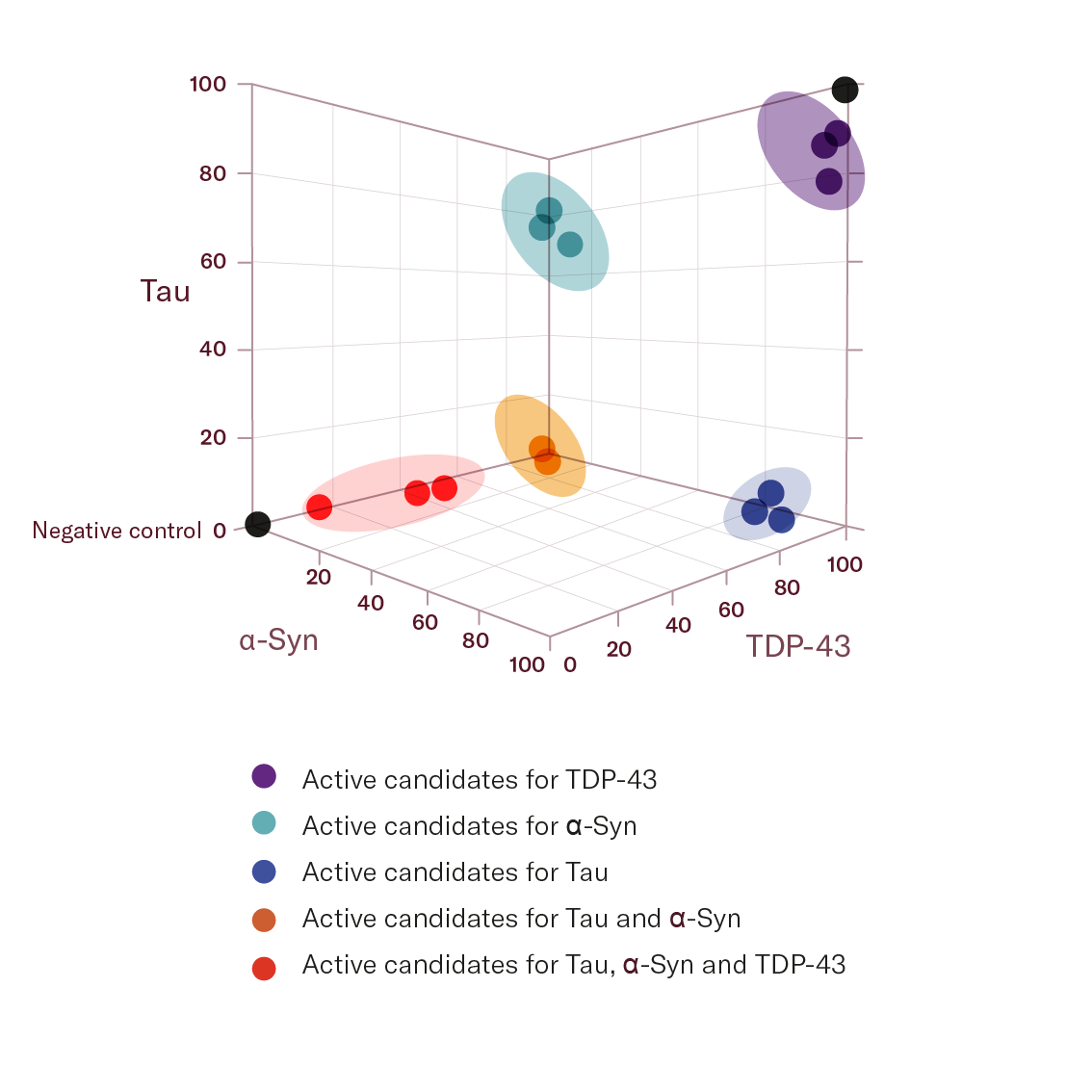 Screening service for drug candidates targeting proteinopathies